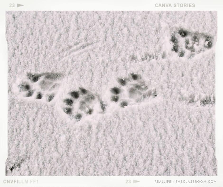 8 Fresh Ideas for Decorating Your Spring Classroom Door or Bulletin Board