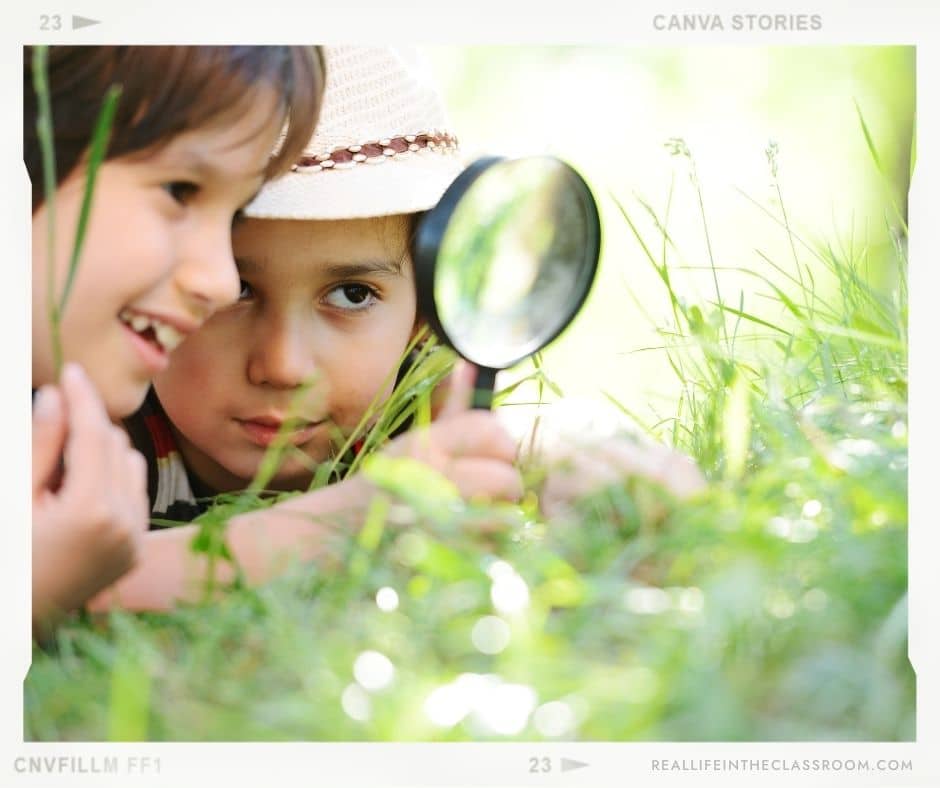 7 Meaningful Earth Day Activities You Should Do with Your Students