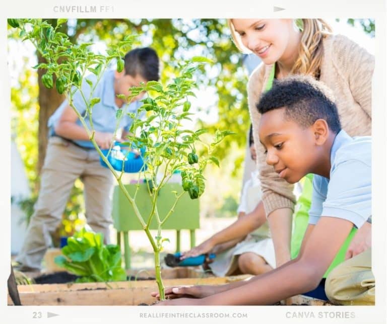 7 Meaningful Earth Day Activities You Should Do with Your Students