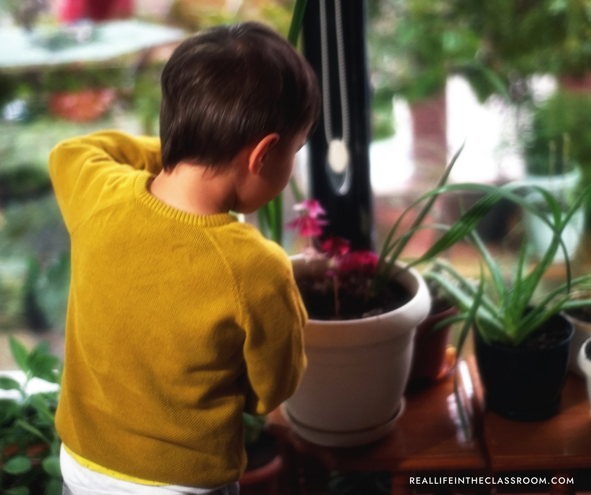 How to Avoid Teacher Burnout: Tips for Achieving a Healthy Work-Life ...