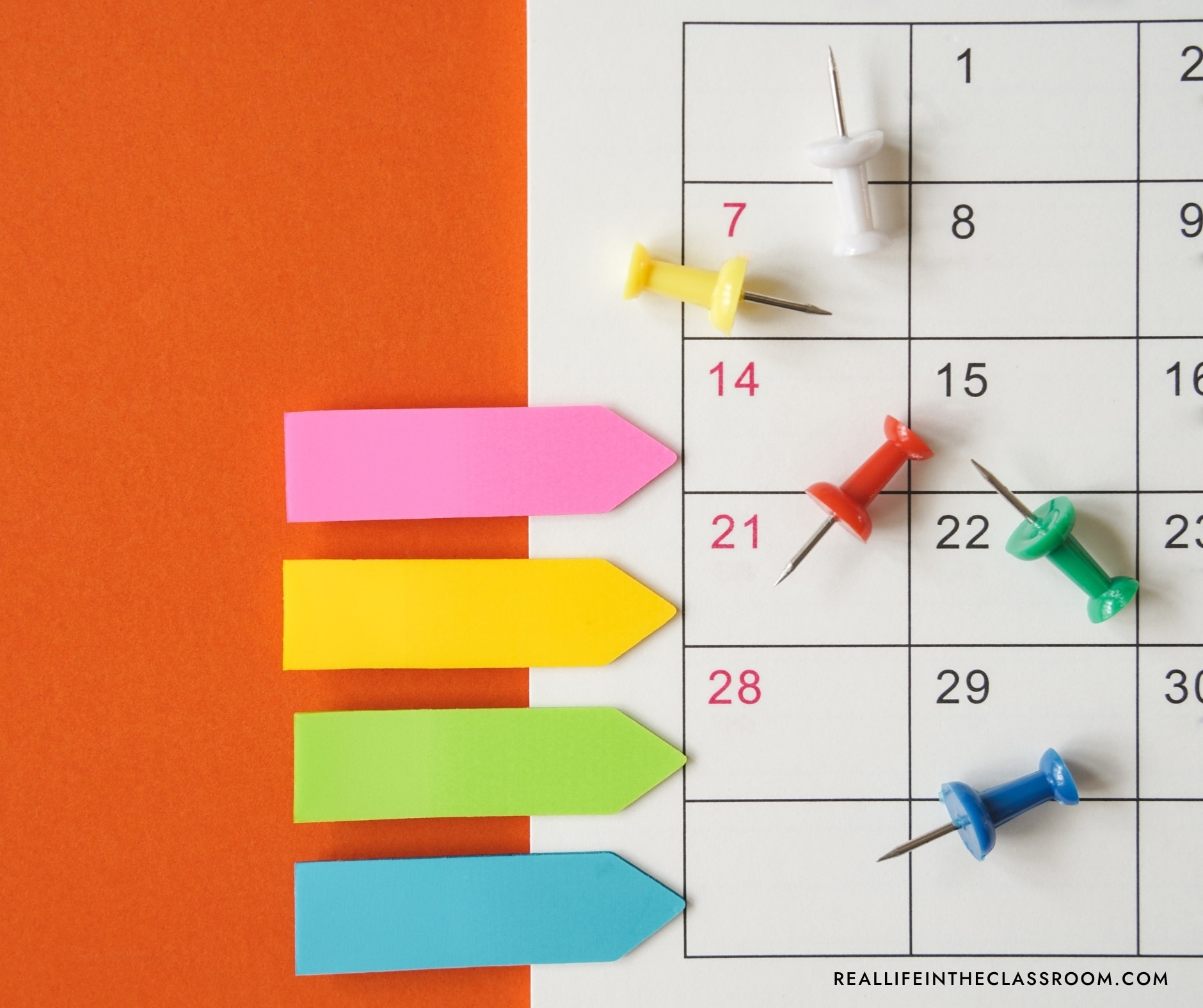 Celebrating Students' Writing: Essential Tips for Hosting Publishing ...