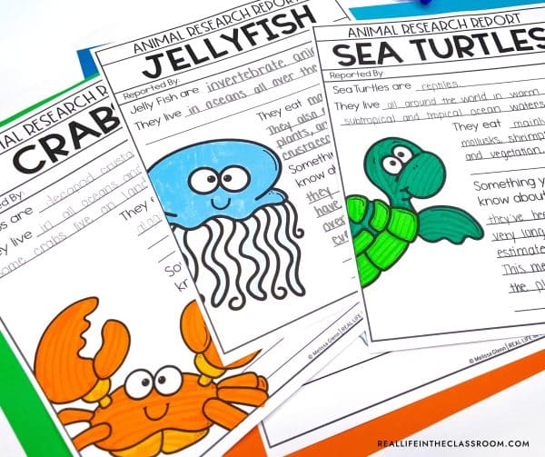 Celebrating Students' Writing: Essential Tips for Hosting Publishing ...